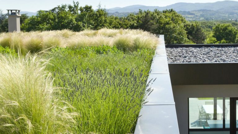 Extenzivní zelená střecha – nenáročná údržba a menší zatížení